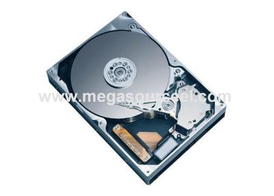 Cina ST3300007LW Seagate 300-GB U320 10K NHP in vendita