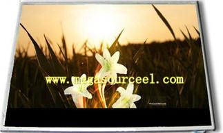 중국 LCD는 유형 LQ141X1LH43 날가로운 것 14.1 인치 1024x768 LCD 위원회를 깝니다 판매용