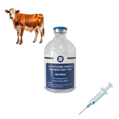 cefotaxime sodium for injection