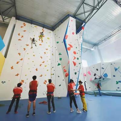 Cina Parete rampicante adulta di colore della corda mista della vetroresina per il centro commerciale in vendita