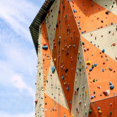 Cina Parete rampicante adulta di colore della corda mista della vetroresina per il centro commerciale in vendita