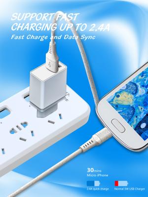 Cina Wheat Straw PD USB Data Cable Android Micro 2.4A Fast Charging Cable in vendita