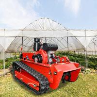 China Multifunctional Remote Control Crawler Lawn Mower 1200mm Width Flail Mower 12HP for sale