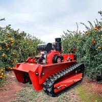 China Multifunctional Remote Control Crawler Lawn Mower 1200mm Width Flail Mower 12HP for sale