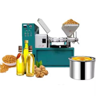 China Automatic Cold Press Oil Extraction Machine Screw Press Oil Press for Coconut and Peanut Oil New Condition for sale