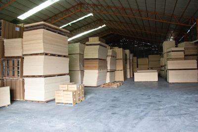 Cina Moderno Design 18mm Mdf Tavolo Scarpe per soggiorno TV Pareti Legno Artigiani Casa in vendita