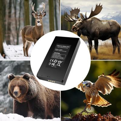 China 10000mAh Rechargeable Battery Pack, Replacement Lithium Battery Compatible for GardePro Trail Camera E6P, E8P, E8PWF, E6PCF, X60P and X60PMB (NOT FIT for E6 Camera) for sale
