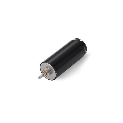China Faradyi 13mm 3.7V 12v 24v 12 24 Volt High Torque High Rpm Dc Brush Motors Micro Coreless Motors for sale
