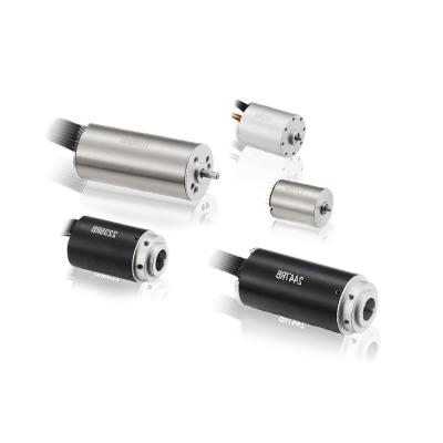 China Faradyi Factory Customized Mini Motor12V 24V 30V 22Mm 10000Rpm Silent Brushless Bldc Dc Coreless Motor For Robot Machine for sale
