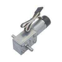 China Faradyi Custom 24v Dc Motor High Torque Brush Worm Gear Motor For Automatic Application for sale