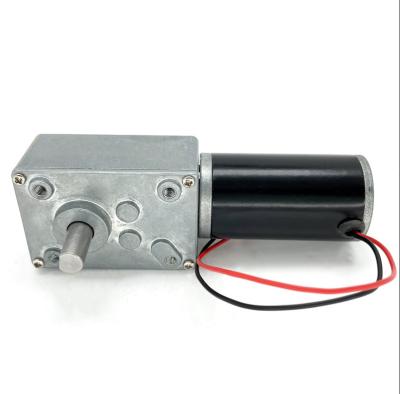 China Faradyi Most Popular 12V 24V 5840 Worm Gear Self Locking Micro Dc Gear Motor for sale