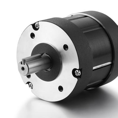 Cina Faradyi ha personalizzato il motore di Bldc Motorbldc di alta qualità per CC che elettrica di Paramotor il motore elettrico senza spazzola per genera in vendita