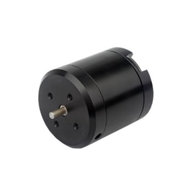 China Faradyi Customizable 100Kv 120Kv 65Mm Diameter Dc Brushless Waterproof Motor  For Water Pulley for sale