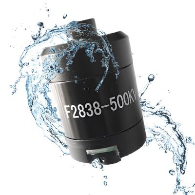 China Faradyi DC Tubular Brushless Underwater Motor Customized F2838 Waterproof 12V 24V 48V Custom Brushless Motor for Drone IE 1 for sale