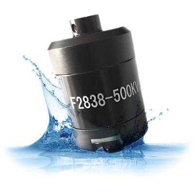 China Faradyi Custom Waterproof Motor 28mm*38mm 12V 24V Nice Quality 5500rpm DC Motor With Propeller For Swimming Equipment for sale
