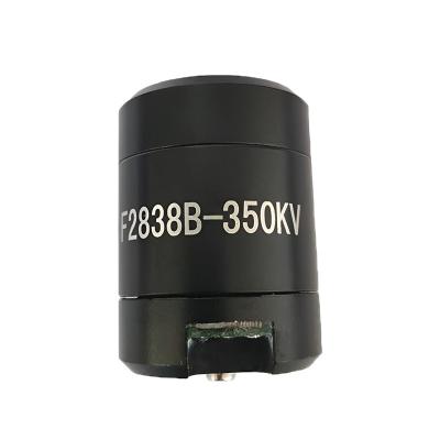 China Faradyi High Quality 2838 Series IP68  DC Brushless Motor Waterproof Motor With Epoxy Coating for sale
