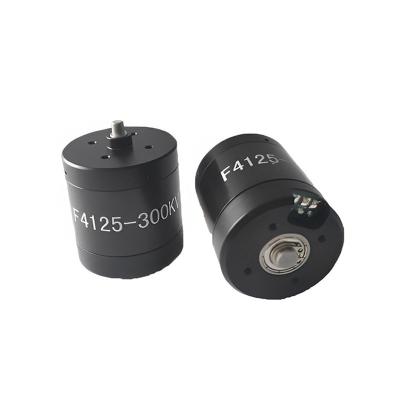 China Faradyi Anti-rust Water-resistant High Quality 350KV Brushless BLDC Tubular Waterproof Motor For Water Surfboard for sale