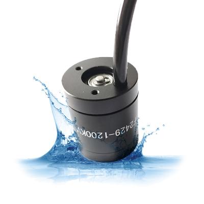 China Faradyi Customized F2429 12V 24V 800KV 1200KV Waterproof Electric Tubular For Electric Boat Surfboard for sale