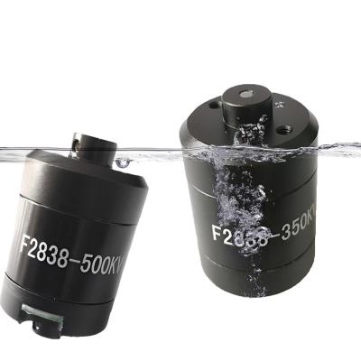 China Faradyi Customized F2838 12V 24V 48V 350KV 500KV Waterproof BLDC Underwater Motor With Propeller For Electric Boat Surfboard for sale