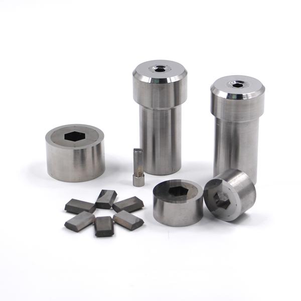 Professional Customized Punch Die Carbide Segmented Dies