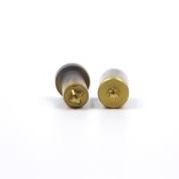 China Gray TiCN Coating Customized Screw Second Punch HSS M2 M42 Carbide 60-68 HRA for sale