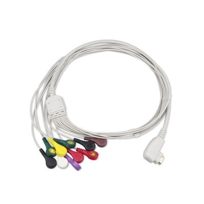 China Medical Holter Cable DMS 300-3A 10 Leadwires Holter ECG Cable Surgical Suppliers for sale