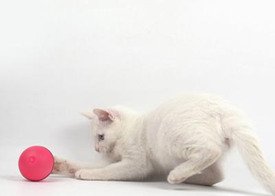 中国 Ecoの友好的なプラスチックABS猫レーザーの球かわいい自動レーザー犬のおもちゃ 販売のため