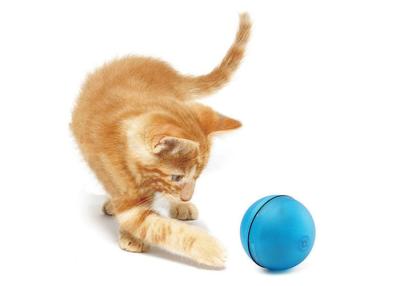中国 専門の電池式猫はLEDの点滅の飼い犬のおもちゃの球をもてあそびます 販売のため