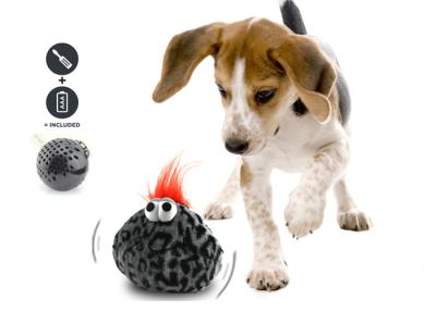 China Lovely Shaking Jumping Squeaky Dog Ball , Motorized Ball Dog Toy With Batteries for sale