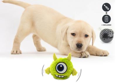 Cina Palla di plastica dei buttafuori del giocattolo a pile pazzo elettrico del cane per i regali del cane di animale domestico in vendita