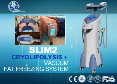 中国 機械、重量の軽減装置を細くする効果のcryolipolysis 販売のため