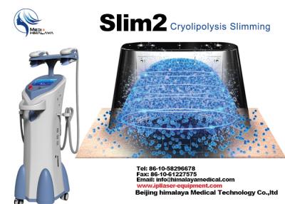 中国 2つのhandpiecesのCryolipolysis機械の細く、真空の美機械脂肪バーナー 販売のため