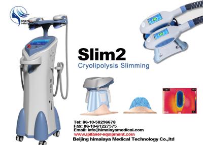 Cina Cryolipolysis di congelamento grasso a macchina, attrezzatura di dimagramento fresca di perdita di peso in vendita