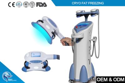 中国 機械Cryolipolysisの脂肪質の凍結機械50/60HZを細くするLED/真空 販売のため