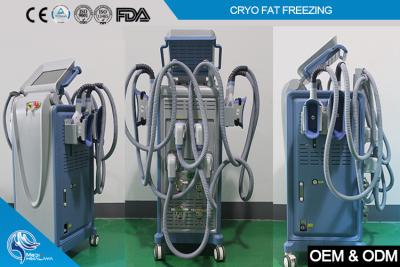 中国 800のW減量のために細くする冷却力の真空/LED Cryolipolysis機械 販売のため