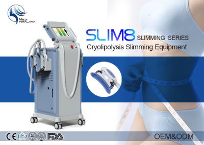 中国 10.4インチ スクリーンのCryolipolysis機械、Cryoの4つのハンドルが付いている機械を細くするボディ 販売のため
