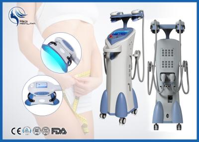 중국 Cryo lipolaser/숙녀 살롱을 위한 coolsculpting 아름다움 기계를 제거하는 Cryolipolysis Lipolaser 셀룰라이트 판매용