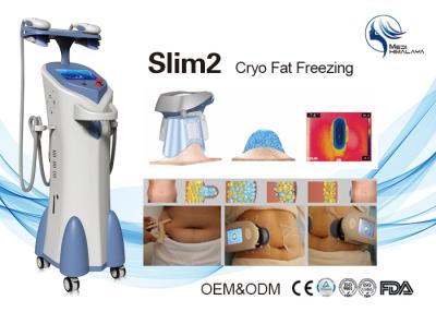 Cina Ente fresco a macchina di Coolsculpting Cryolipolysis di 2 maniglie di Cryo che scolpisce i prodotti di Criolipolisis in vendita