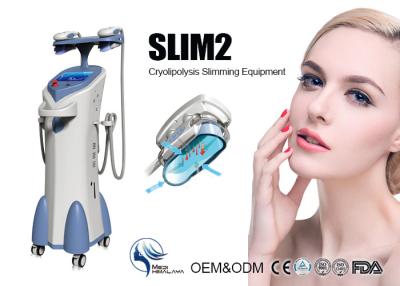 Cina Macchina professionale di Coolsculpting Cryolipolysis con 4 Handpiece, macchina di congelamento grassa di Cryolipolysis in vendita