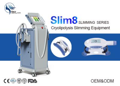 Cina Corpo che contorna la macchina di Coolsculpting Cryolipolysis, grasso che si congela dimagrendo macchina in vendita