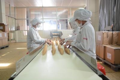 Cina 89 macchina urgente automatica bollente del canestro del wafer dei piatti 9m in vendita
