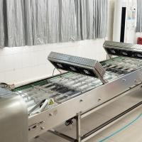 China Video Technical Support Marshalling Cooling Conveyor Providing Comprehensive Solutions For Food Processing for sale