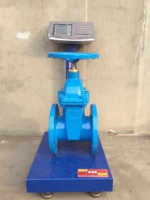 China Casting Iron Industry/Marine Gate Valve for sale