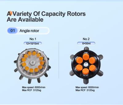 Cina Cenlee6w 6000rpm Centrifugine di laboratorio Centrifugine a banco con rotore angolare da 15 ml 50 ml in vendita