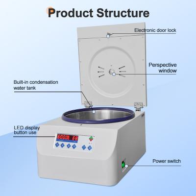 China 300ml Centrifuge Speed 6000rpm Clinical Lab Centrifuge with angle rotor 15ml 50ml tubes for sale