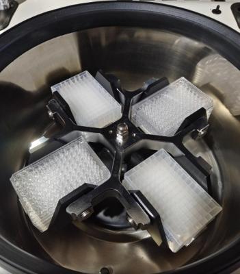 China CenLee2050R Benchtop High Speed Refrigerated Centrifuge with 20500r/min Max Speed 29200g Max RCF and 3000ml Max Capacity for sale