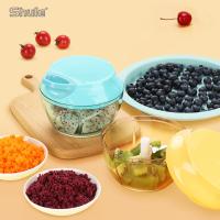 China Multifunctional PP Housing Kitchen Vegetable Chopper 250ML SS420 Eco Friendly for sale