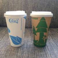 China PLA Biodegradable Compostable Paper Cups 16oz Double Wall with Lids for Hot and Cold Drinks for sale