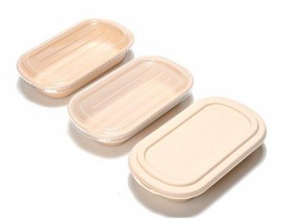 China Biodegradable Bamboo Pulp Food Container Microwaveable With Cover Safety for sale