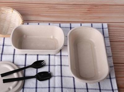 China Biodegradable Bamboo Pulp Food Container Microwaveable With Cover Safety for sale